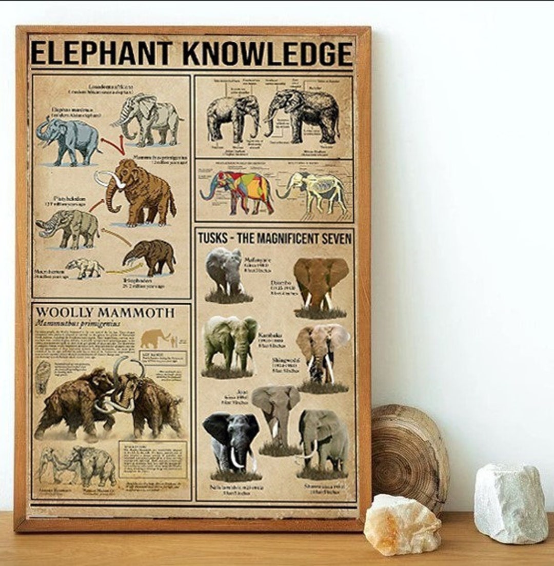 Elephant Knowledge Poster Woolly Mammoth Tusks the - Etsy UK