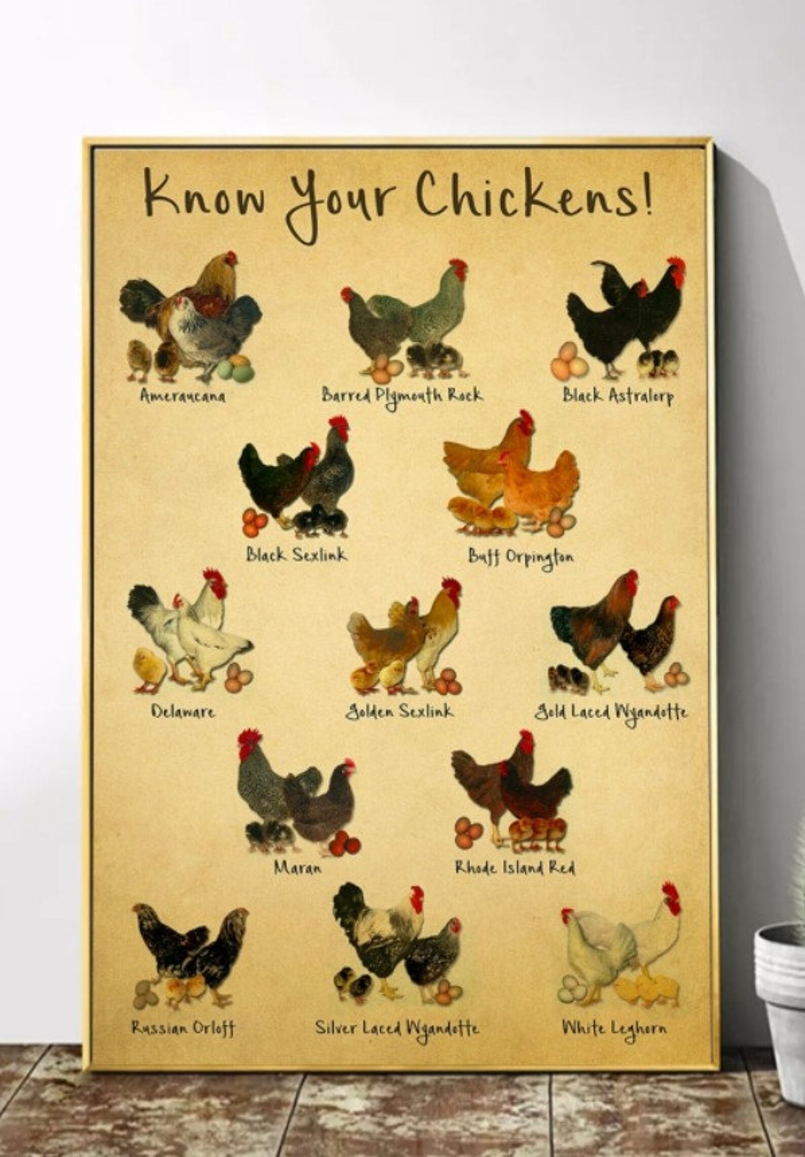Know Your Chickens Poster Animal Poster Wall Art Chickens - Etsy