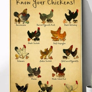 Know Your Chickens Poster, Animal Poster Wall Art, Chickens Poster ...
