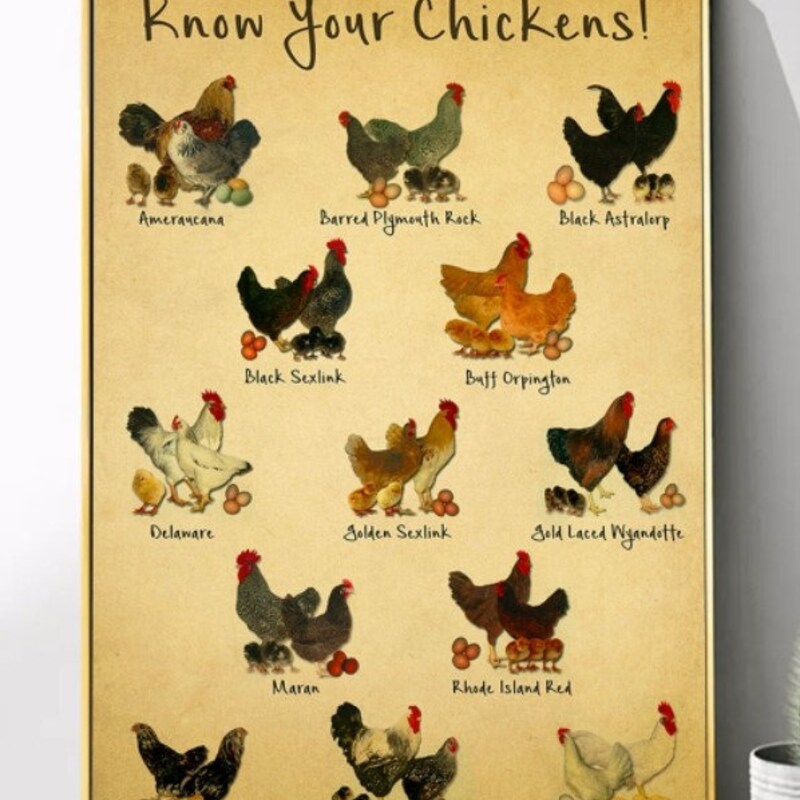 Chicken Breeds Poster - Etsy