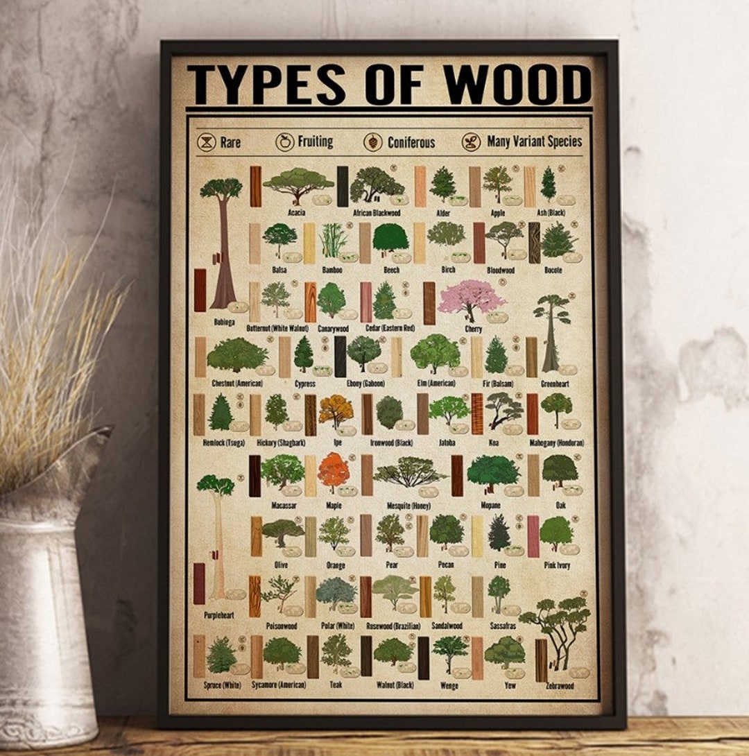 Types of Wood Poster, Wood Poster, Wood Knowledge Poster, Wood ...
