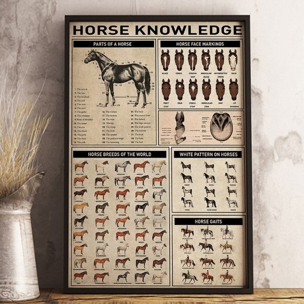 Horse Poster Print - Etsy