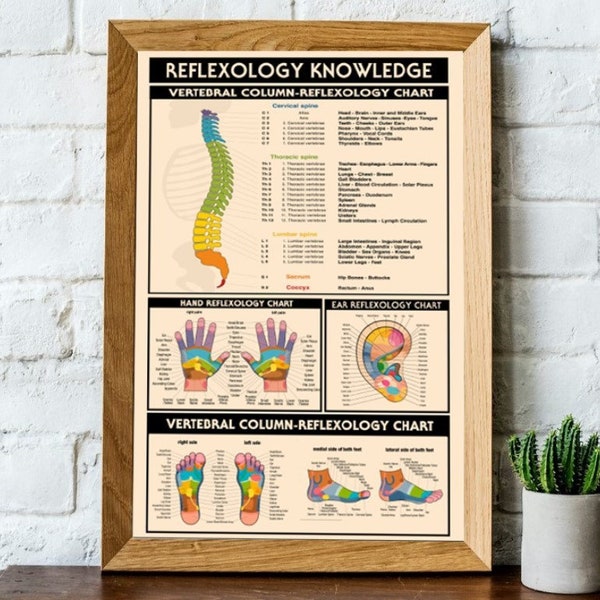 Reflexology Poster - Etsy