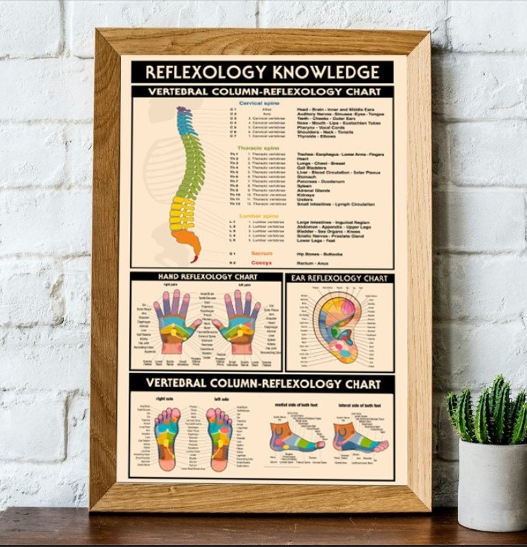 Vertebral Column Reflexology Chart Print Labelled Medial Lateral Chart ... Vertebral Column Reflexology Chart Print Labelled Medial Lateral Chart ...
