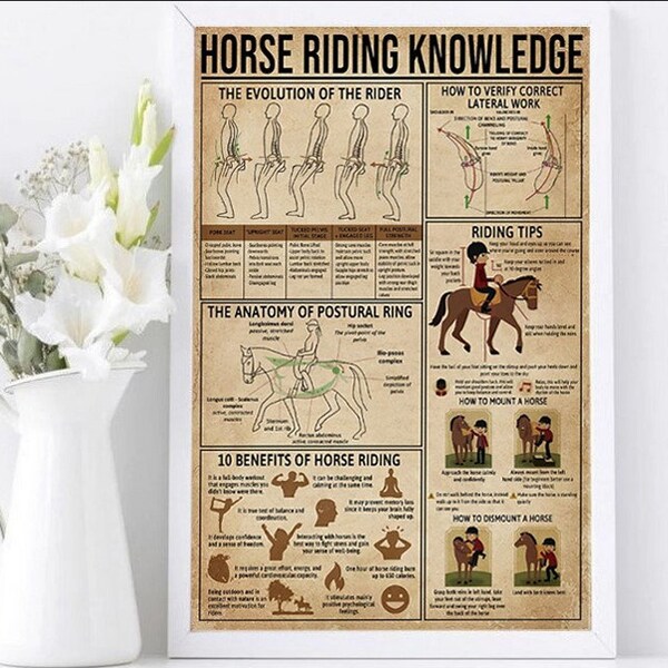 Horse Knowledge Poster - Etsy