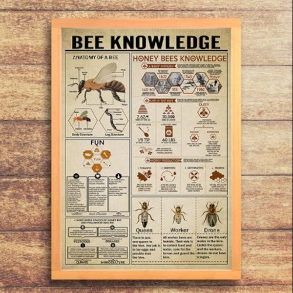 Bee Poster - Etsy