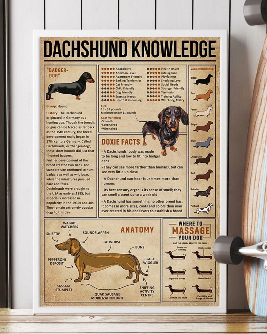 Dachshund Wiener Dog Dachshunds Knowledge Dog Knowledge Poster ...