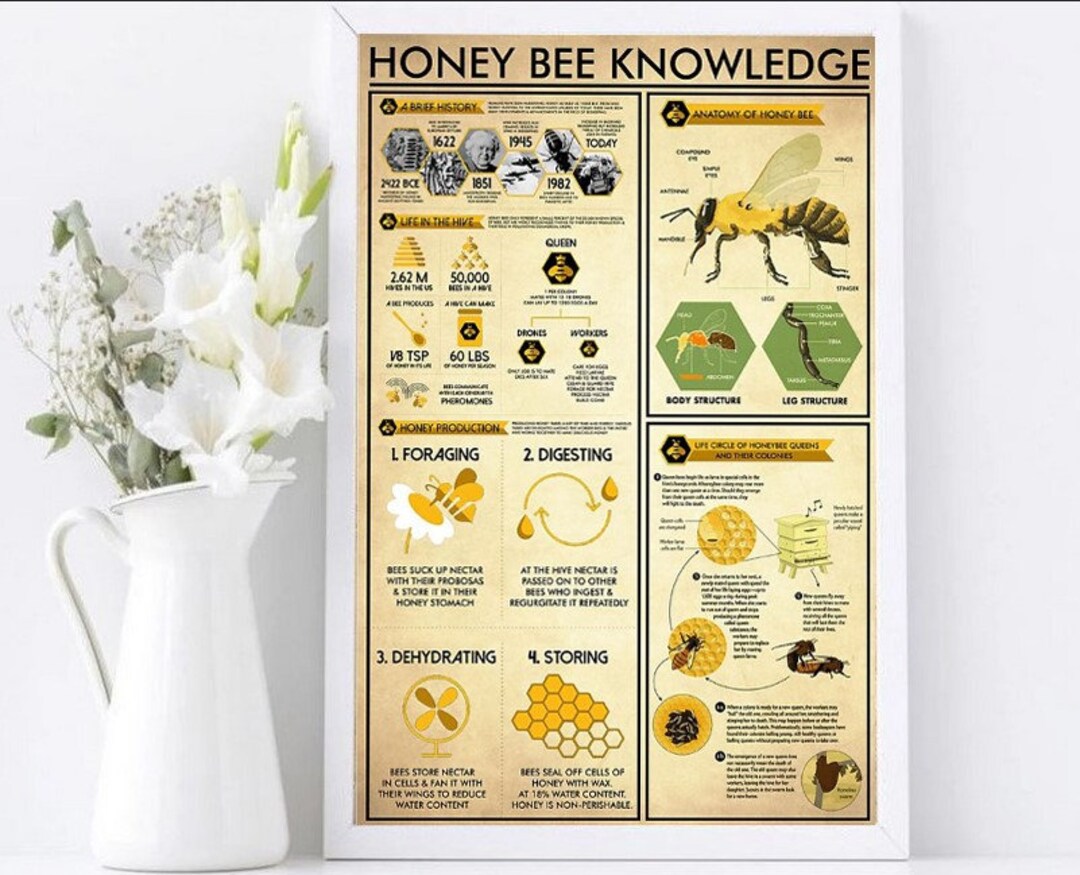Vesion 2: Honey Bee Knowledge, Honey Bee Productions Knowledge Poster ...