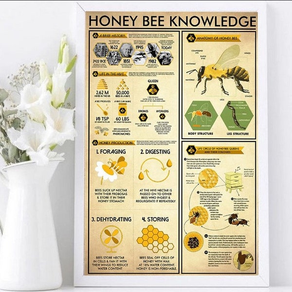 Bee Poster - Etsy