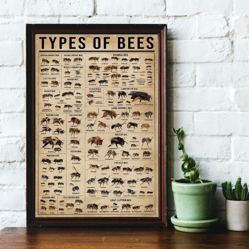 Bee Poster - Etsy