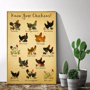Know Your Chickens Poster, Animal Poster Wall Art, Chickens Poster ...