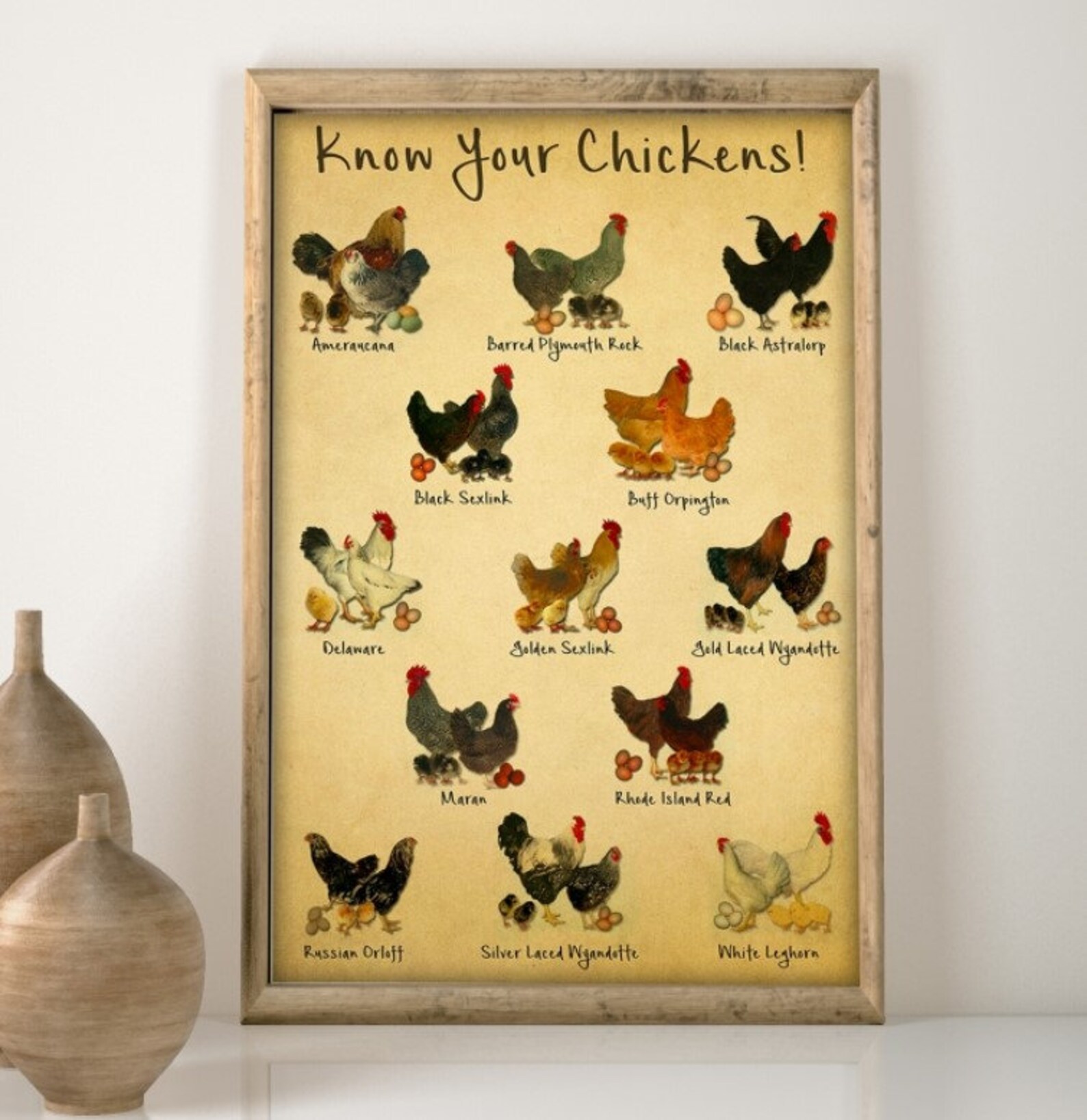 Know Your Chickens Poster Animal Poster Wall Art Chickens - Etsy