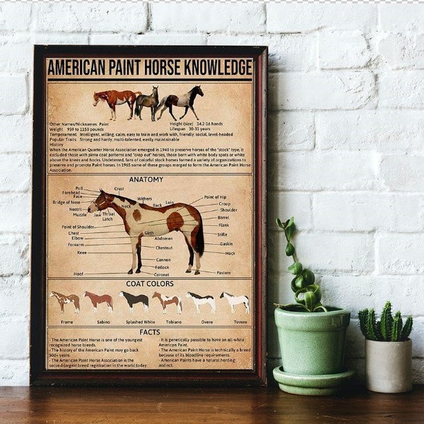 Horse Knowledge Poster - Etsy