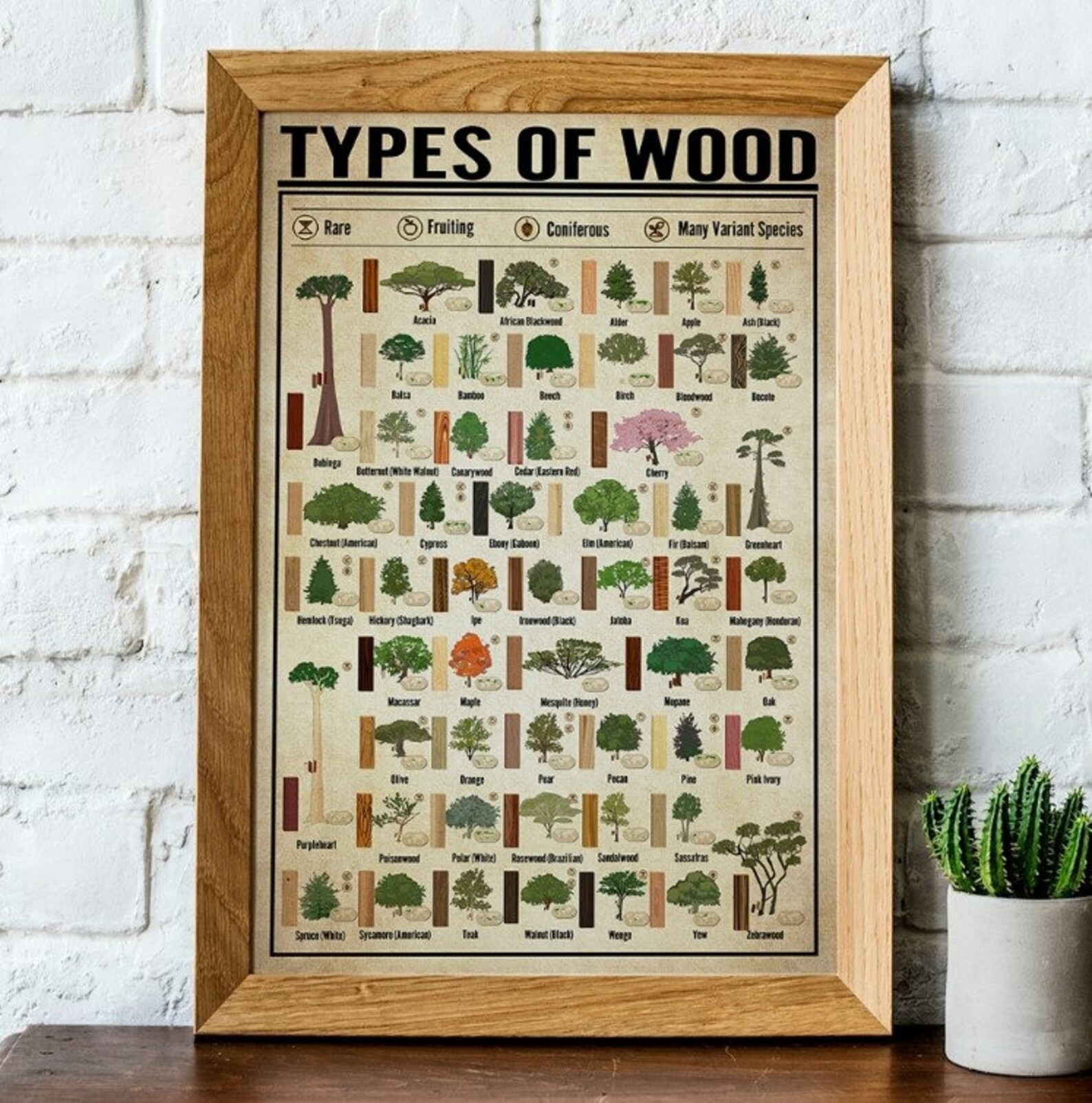 Types of Wood Poster Wood Poster Wood Knowledge Poster Wood | Etsy