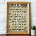 Types of Wood Poster Wood Poster Wood Knowledge Poster Wood - Etsy Canada