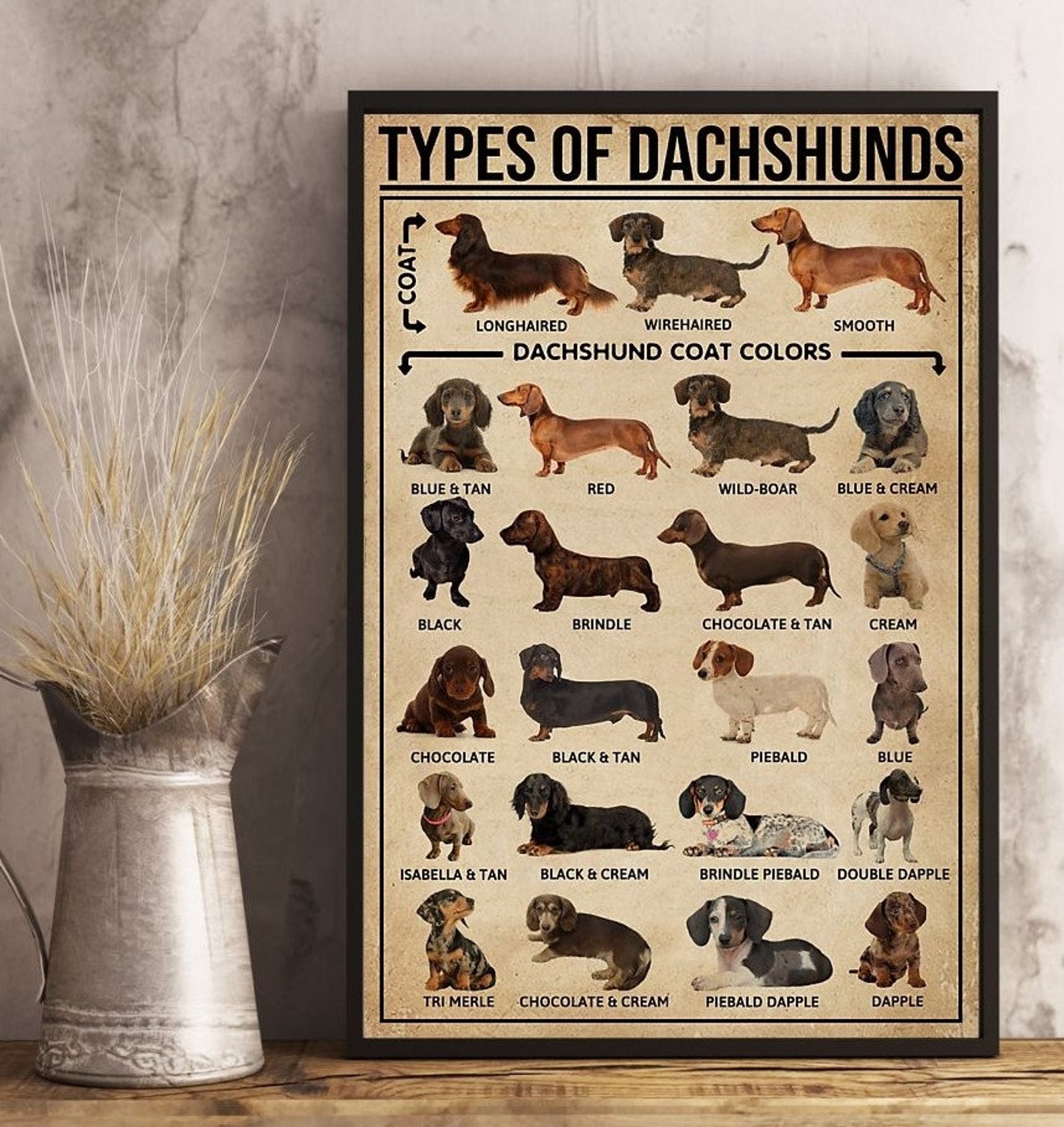 Types of Dachshunds Dog Poster, Knowledge Poster, Dachshunds Lover, Dog ...
