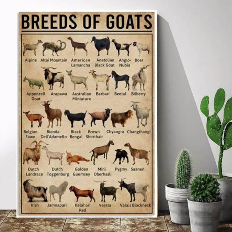 Goat Poster - Etsy
