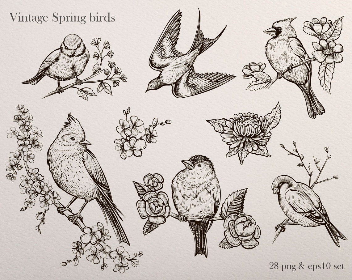 Bird Clipart - Floral Clipart - Vector Art - Wedding Clipart - Line ...