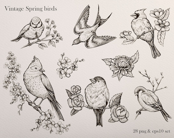 Bird Clipart Floral Clipart Vector Art Wedding Clipart | Etsy Canada