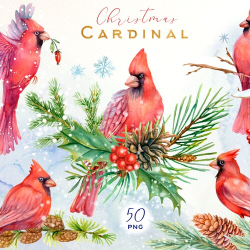 Cardinal Clipart Christmas Png Winter Watercolor Clip Art - Etsy
