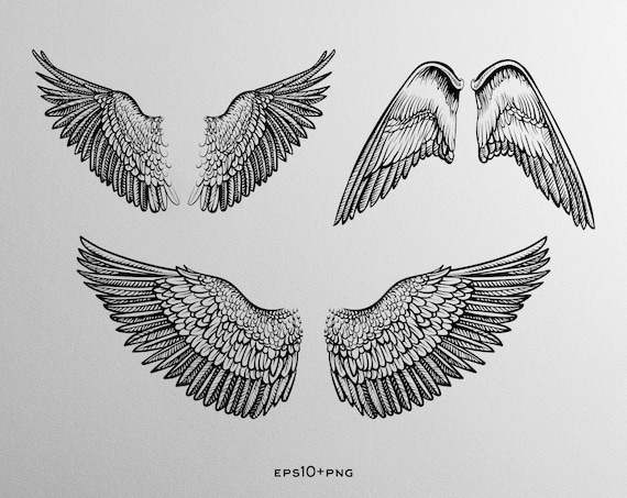Realistic Wings Png