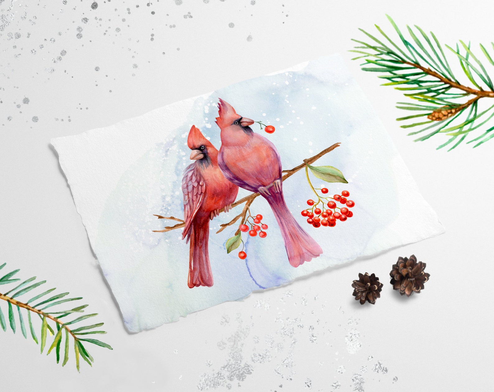 Cardinal Clipart Christmas Png Winter Watercolor Clip Art - Etsy