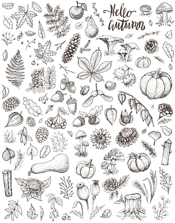 Fall Pumpkin Clip Art Black And White