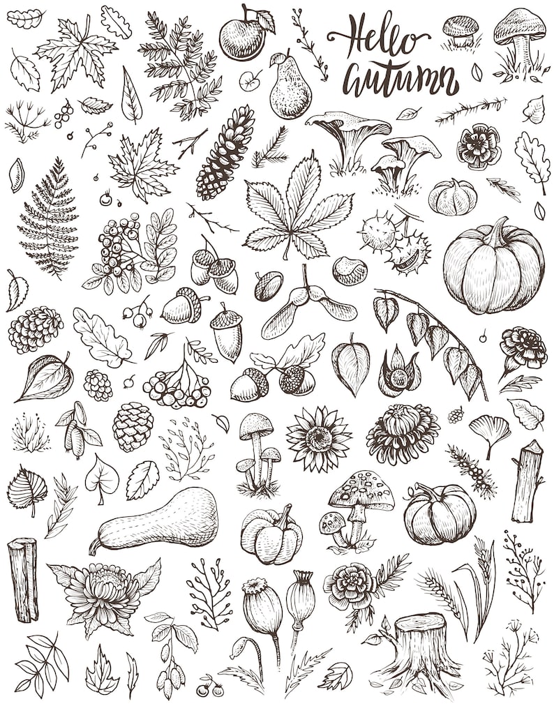 Fall Png Autumn Vector Images Pumpkin Clipart Black and White Line Art ...