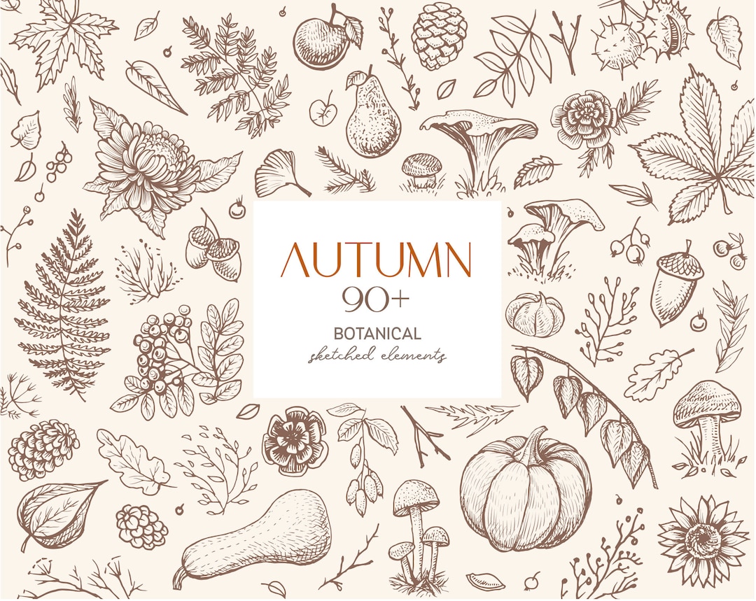 Fall Png Autumn Vector Images Pumpkin Clipart Black and White Line Art ...