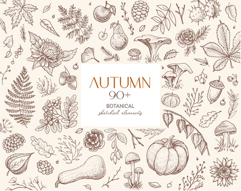Fall Png Autumn Vector Images Pumpkin Clipart Black and White Line Art ...