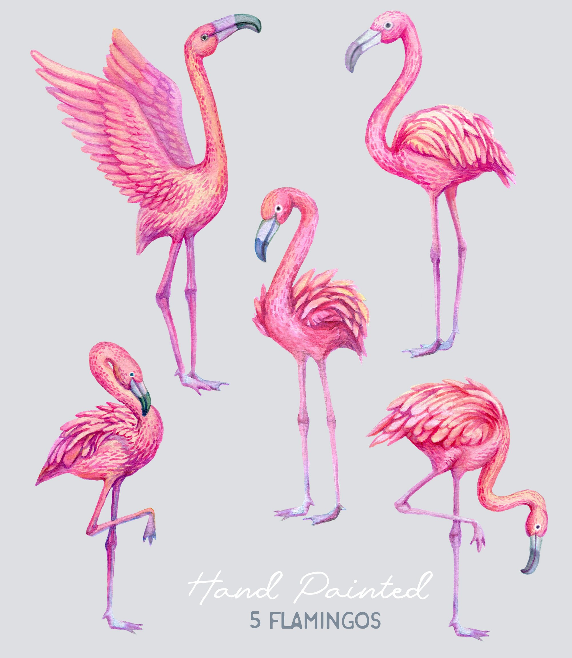 Pink Flamingo Clipart, Watercolor Digital Art. Hand Painted Flamingo ...