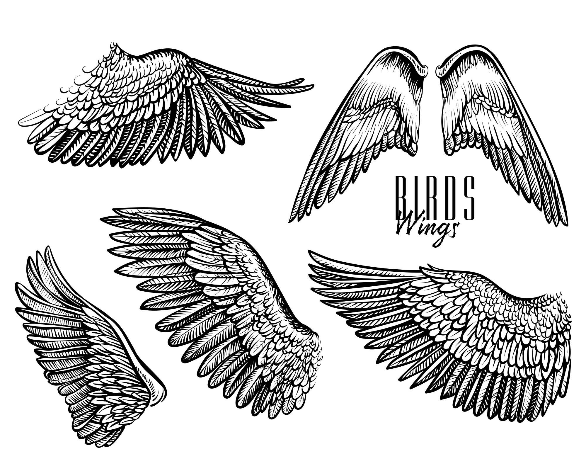 Wings Clipart Png