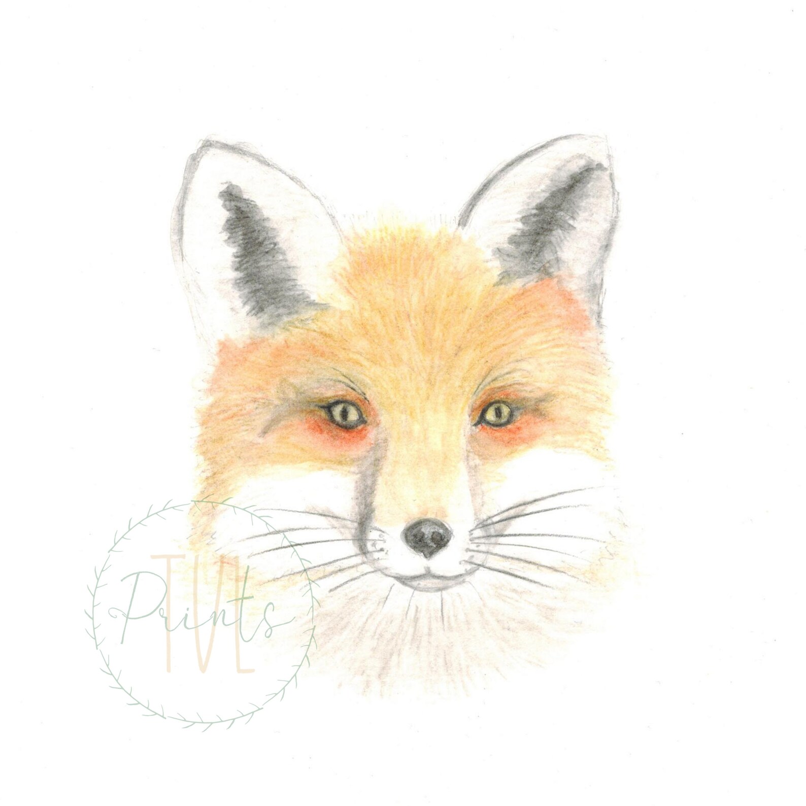 Hand Drawn Fox Sketch for Digital Download Cards Framed - Etsy