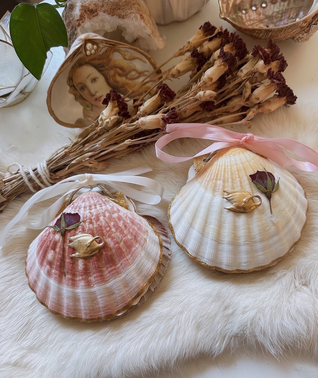 PREORDER Aphrodites Shell Notepad, Venus Journal, Aphrodite Journal ...