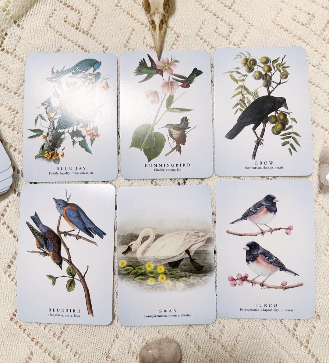 Spirit Bird Oracle Card Reading, Tarot Readings, Psychic Readings ...