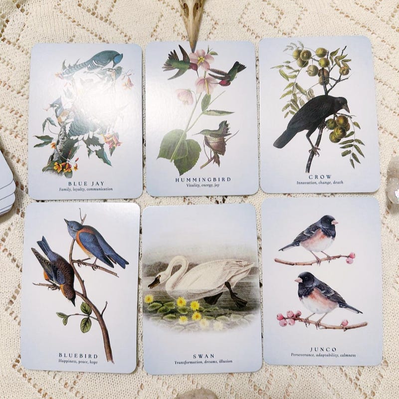 Bird Oracle Cards - Etsy