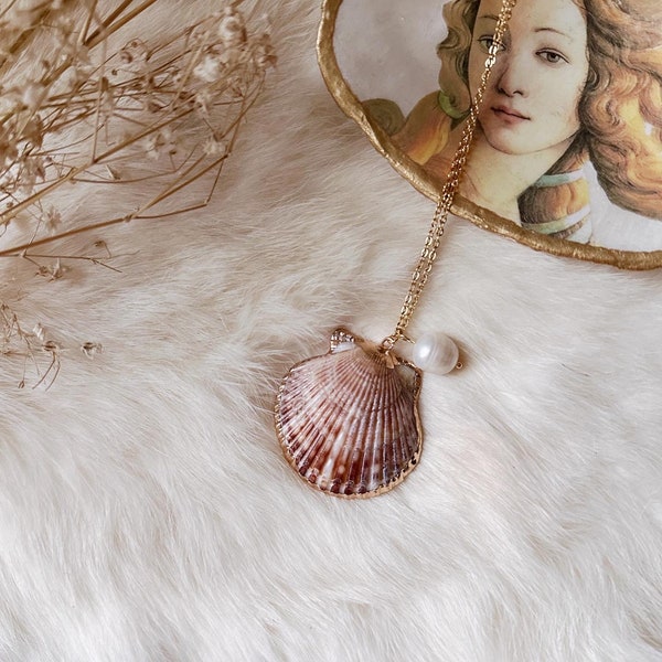 Scallop Shell Necklace - Etsy
