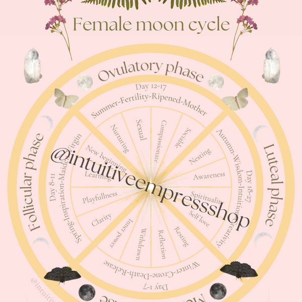 Menstrual Cycle Poster - Etsy