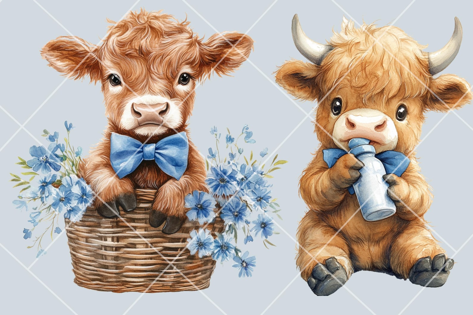 Baby Boy Highland Cow Watercolor Clipart PNG Bundle. Newborn Children ...
