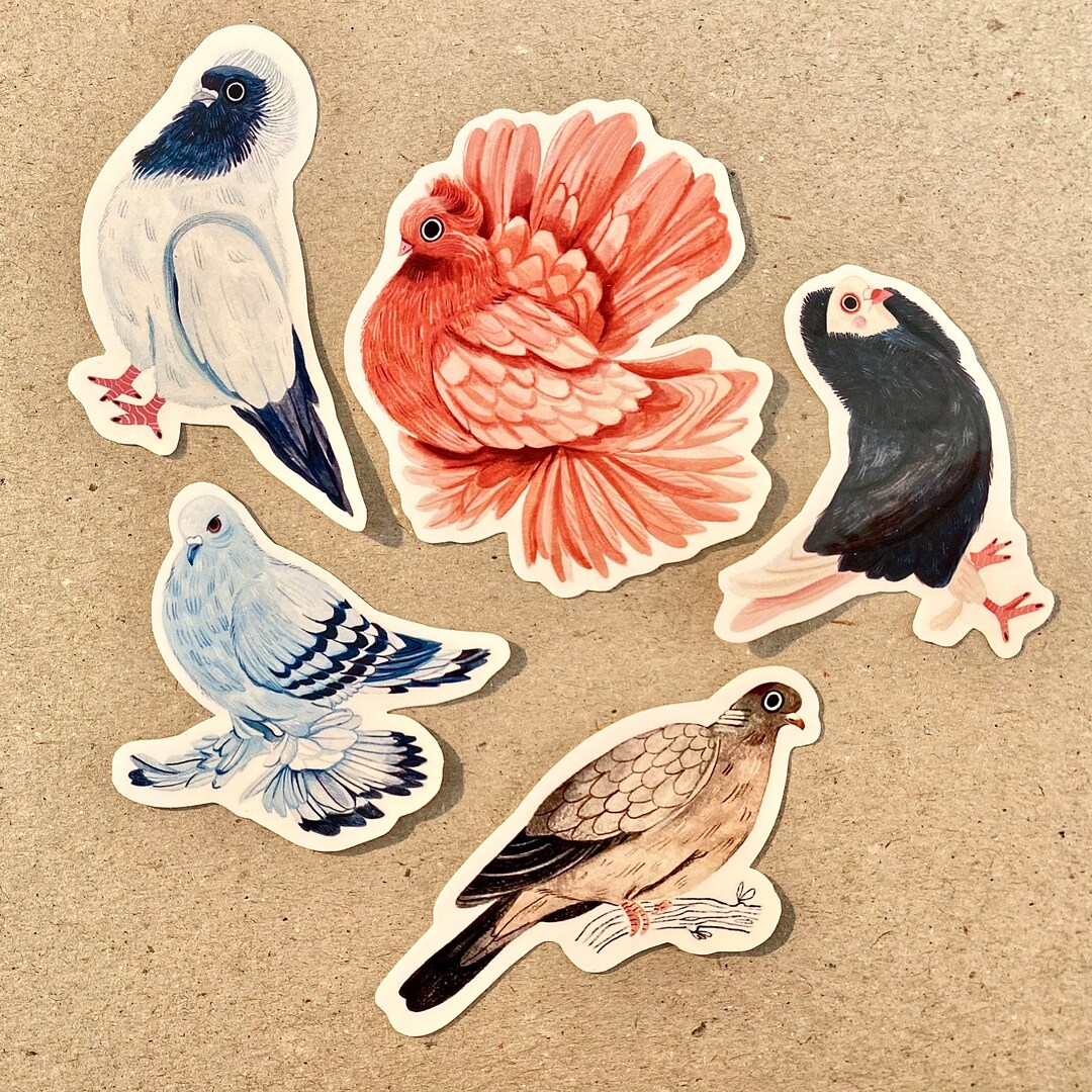 All About Pigeons Glossy Sticker Pack - Etsy