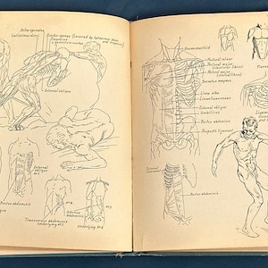 Vintage Art Book Anatomy and Drawing by Victor Perard 1933 - Etsy