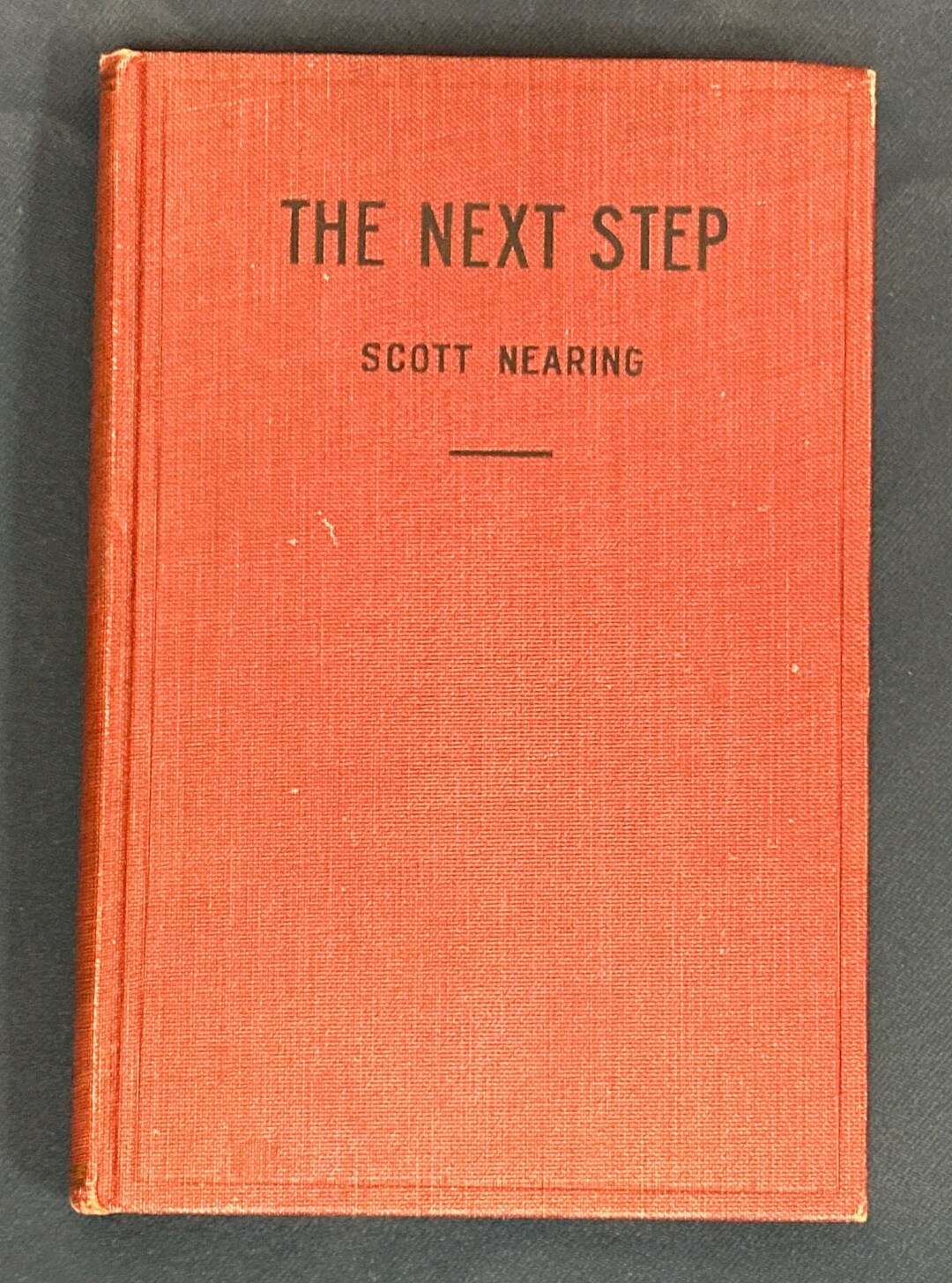 Vintage Book the Next Step by Scott Nearing 1922 First Edition Print - Etsy