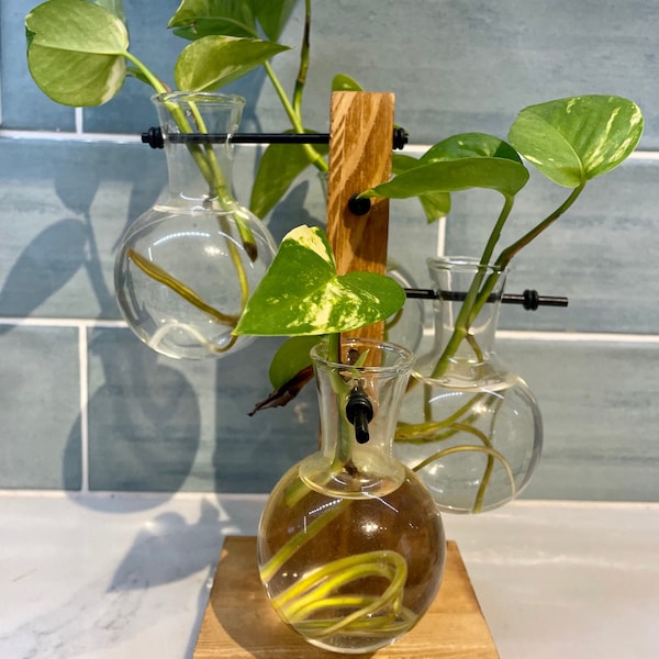 Glass Propagation - Etsy