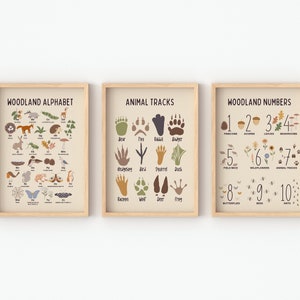 Set of 3, Woodland Alphabet, Woodland Numbers, Educational Prints ...