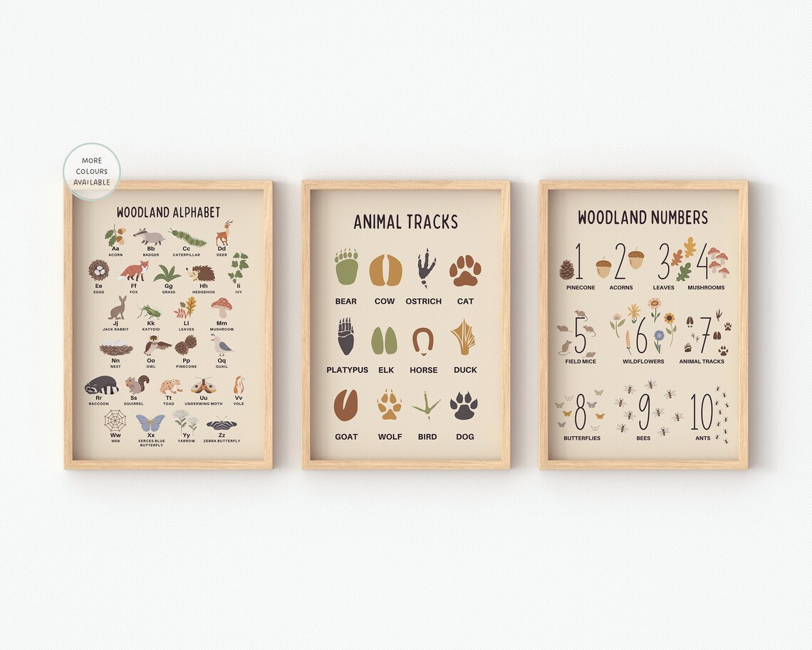 Set of 3 Woodland Alphabet Woodland Numbers Educational - Etsy UK