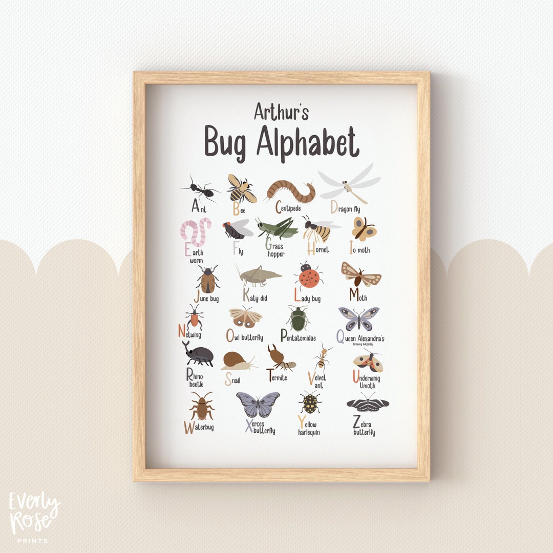 Personalised Insect Alphabet Bug Prints Educational Prints - Etsy