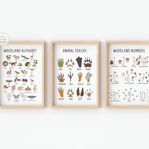 Set of 3, Woodland Alphabet, Woodland Numbers, Educational Prints ...