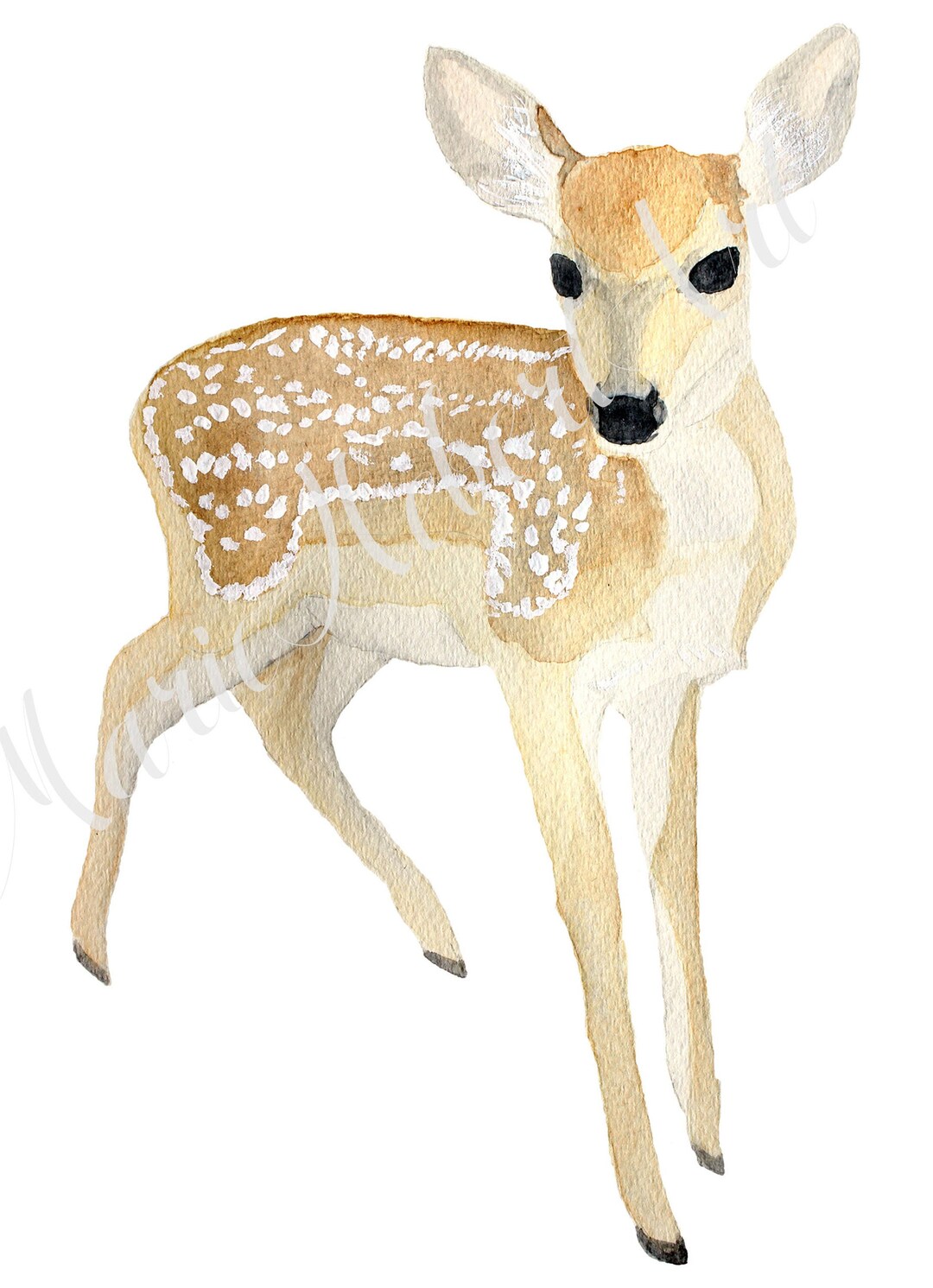 Watercolor Fawn Print - Etsy