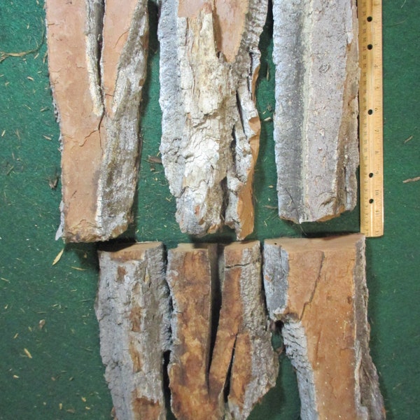 Bark Carving - Etsy