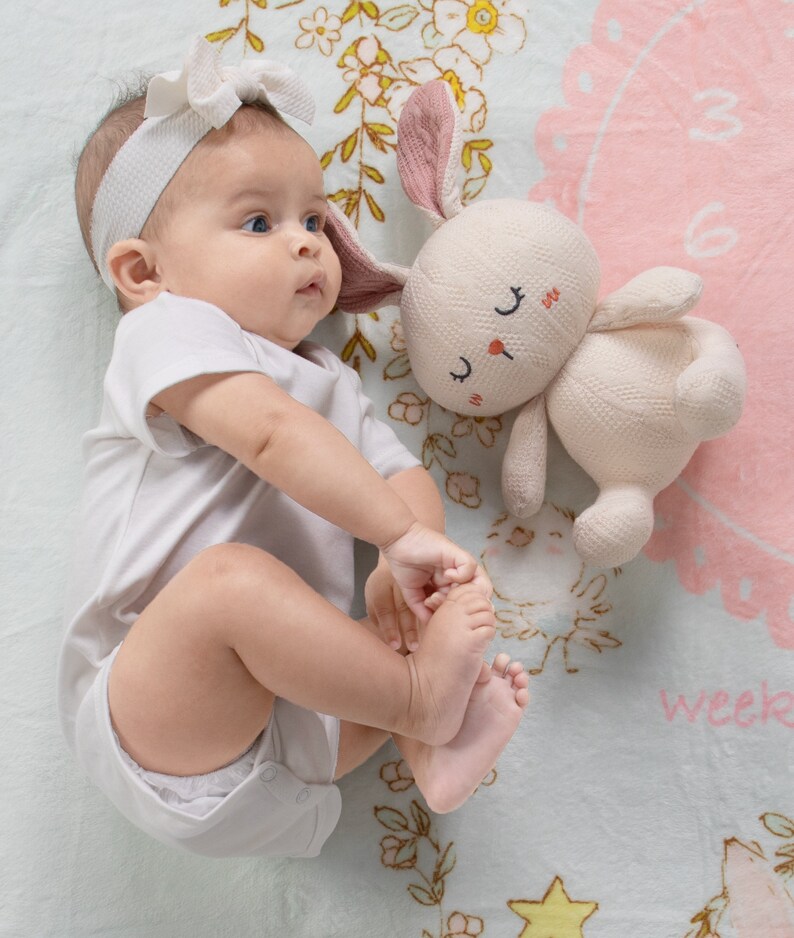 Bunny and Friends Floral Garden Deluxe Milestone Gift Basket. Baby ...